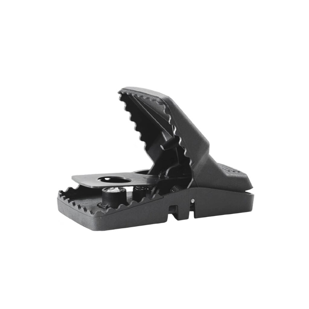 Fumigaciones – Empresas de control de plagas y servicios generales